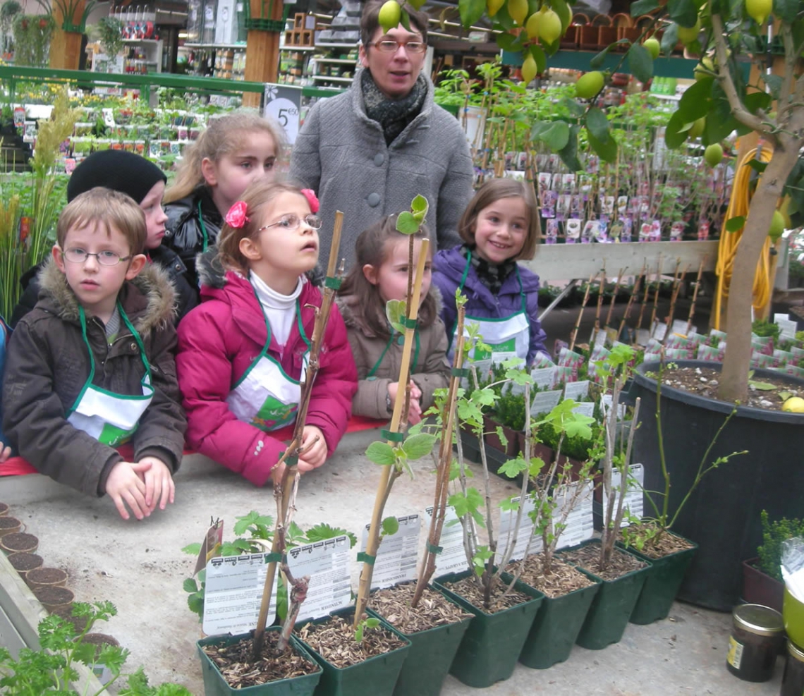 Atelier pédagogique : La découverte des petits fruits