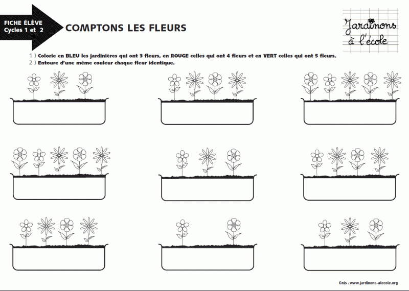 Activité pour la classe : Comptons les fleurs