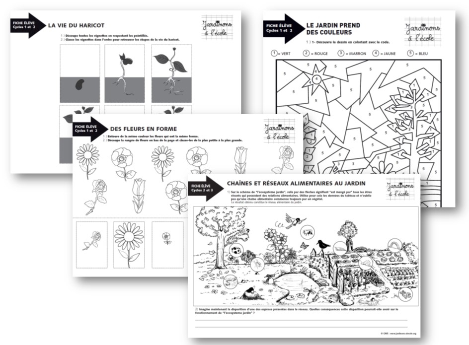 Des activités en classe ou à la maison
