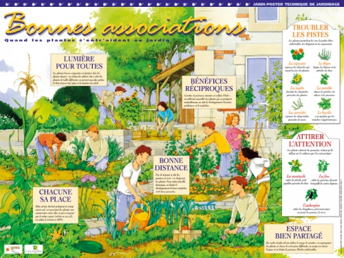 Posters sur les Techniques de jardinage