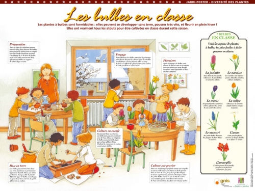 Jardi-posters : Diversité des plantes