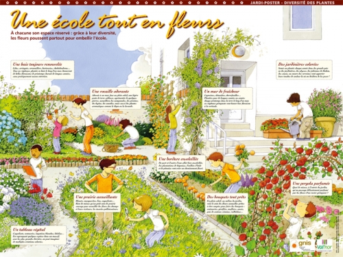 Jardi-posters : Diversité des plantes