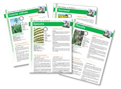 Cultivez la diversité des plantes agricoles à l'école