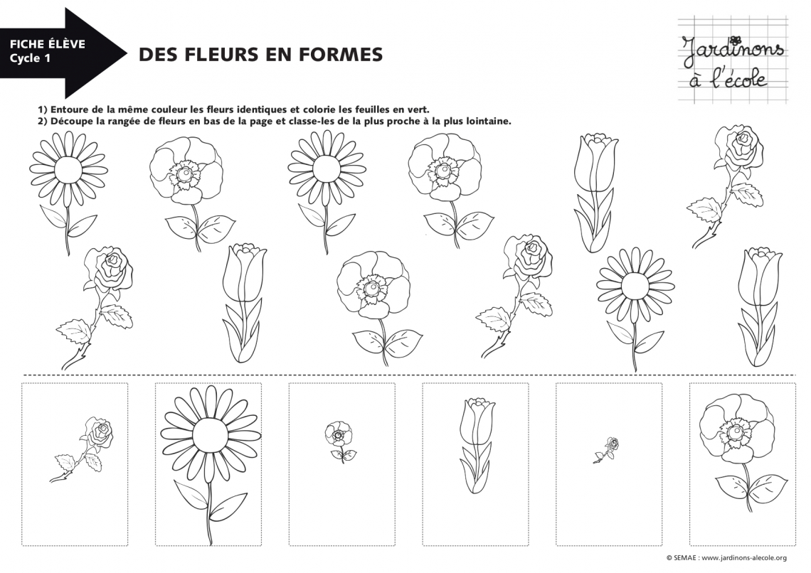 Activité pour la classe : Des fleurs en formes