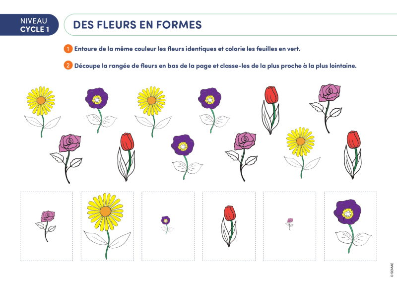 Activité pour la classe : Des fleurs en formes