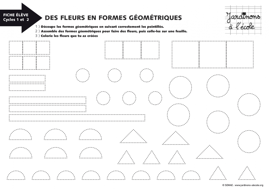 Activité pour la classe : Des fleurs en formes géométriques