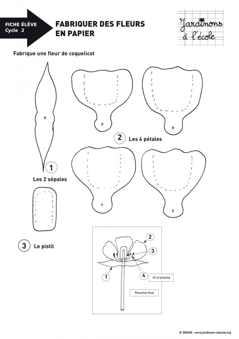 Activtés pour la classe : Fabriquer des fleurs en papier