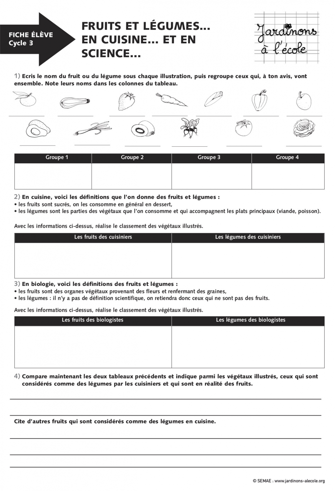 Activtés pour la classe : Fruits et légumes en cuisine et en sciences