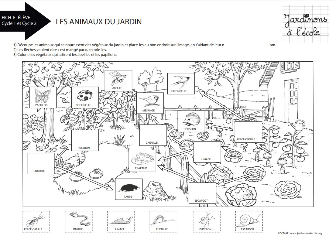 Les animaux au jardin