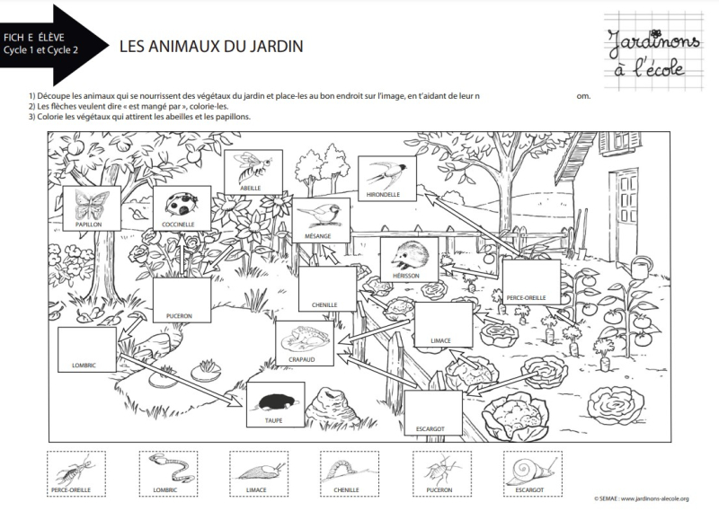 Les animaux au jardin