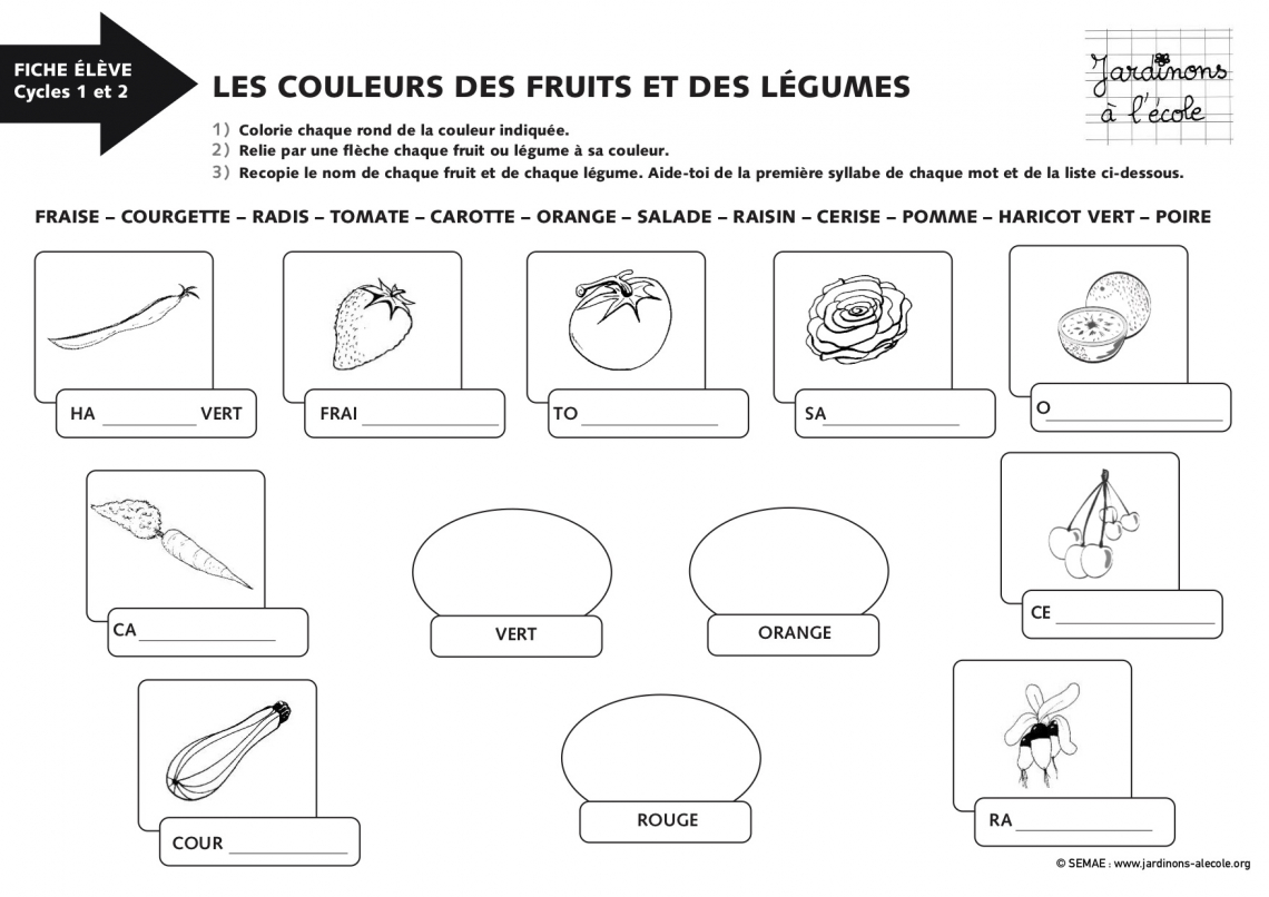Activtés pour la classe : Les couleurs des fruits et des légumes